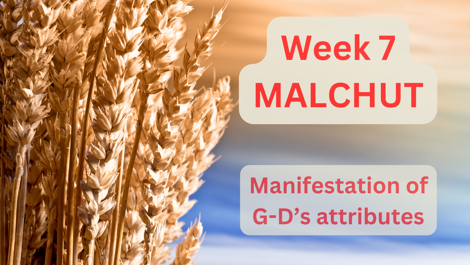 DAY 47 – Counting The Omer 2023/5783 – Yedi'a